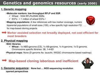 The wheat genome sequence: a foundation for accelerating improvment of ...