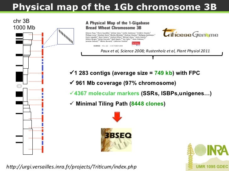 The wheat genome sequence: a foundation for accelerating improvment o…