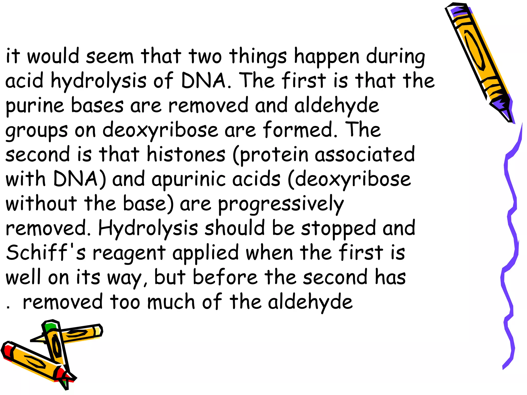 Feulgen stain | PPT