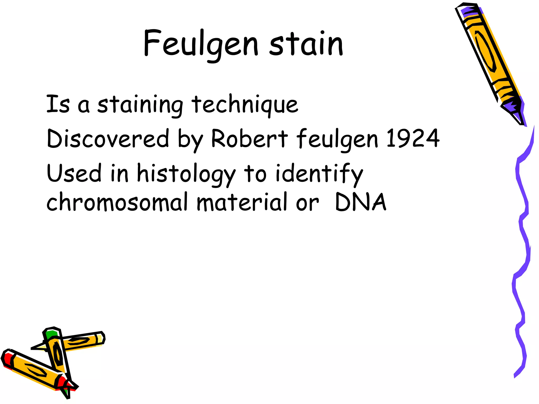 Feulgen stain | PPT