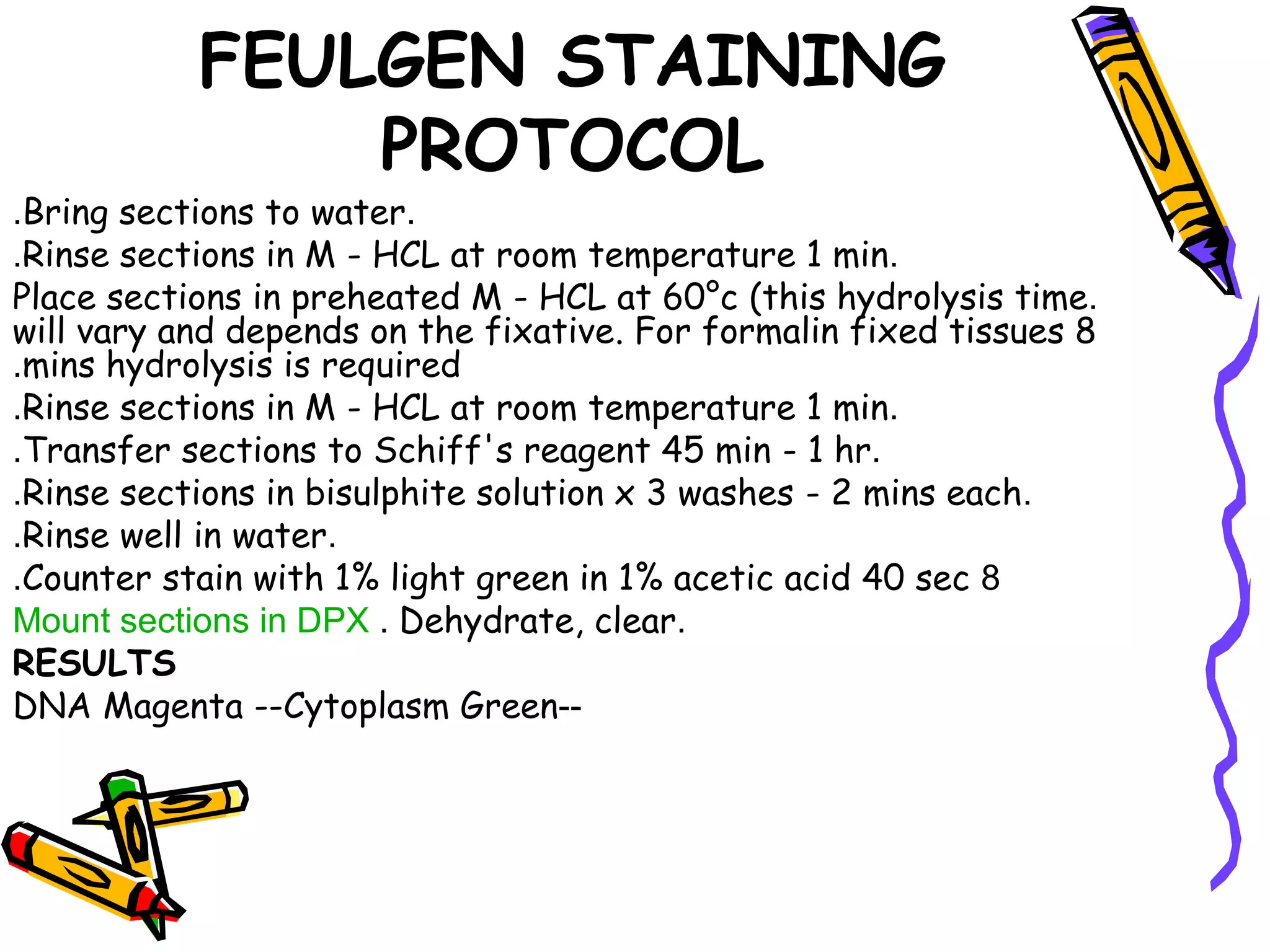 Feulgen stain | PPT