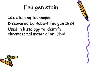 Feulgen stain | PPT