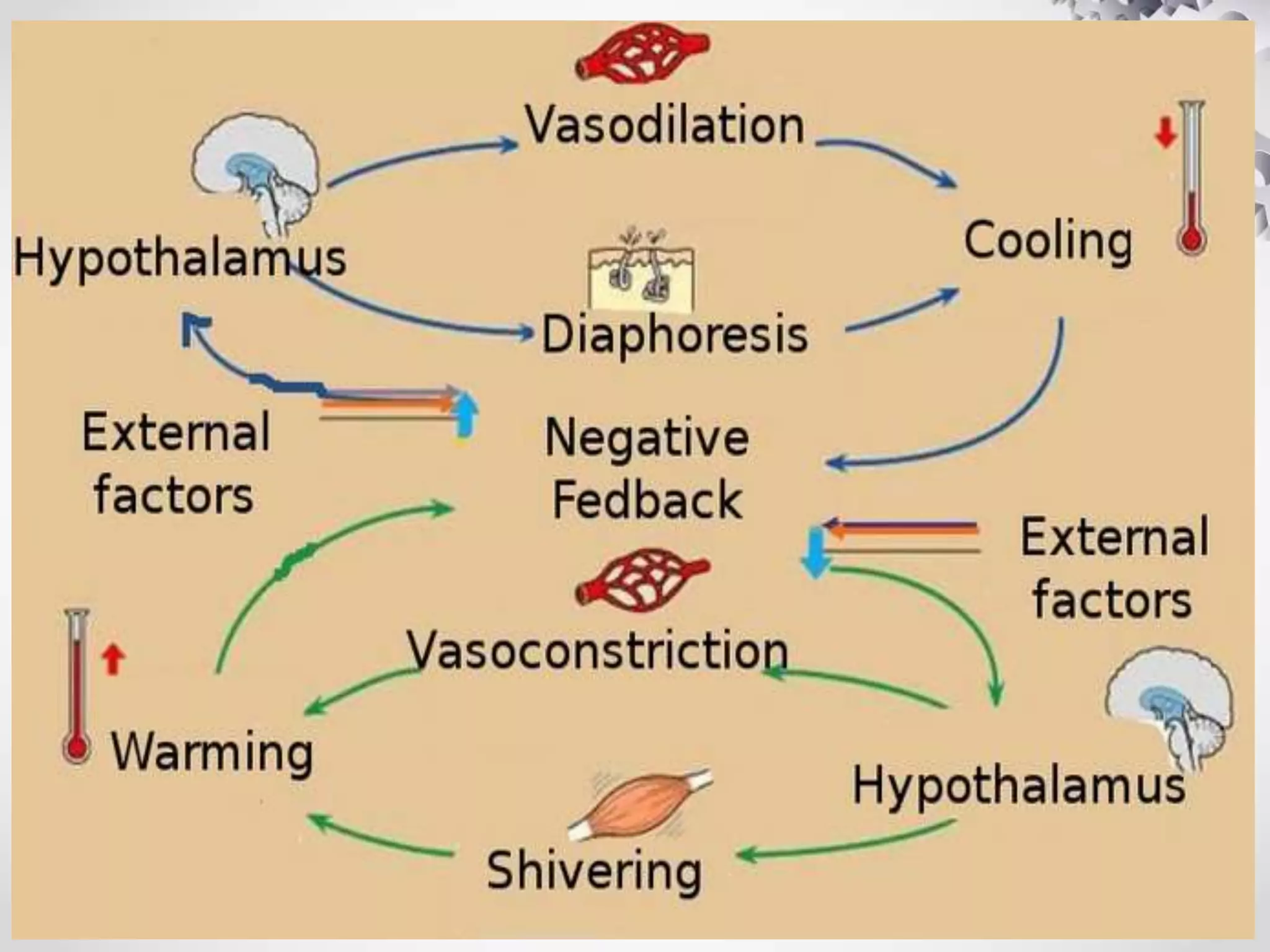 Fever ppt by DR GIRISH JAIN | PPTX