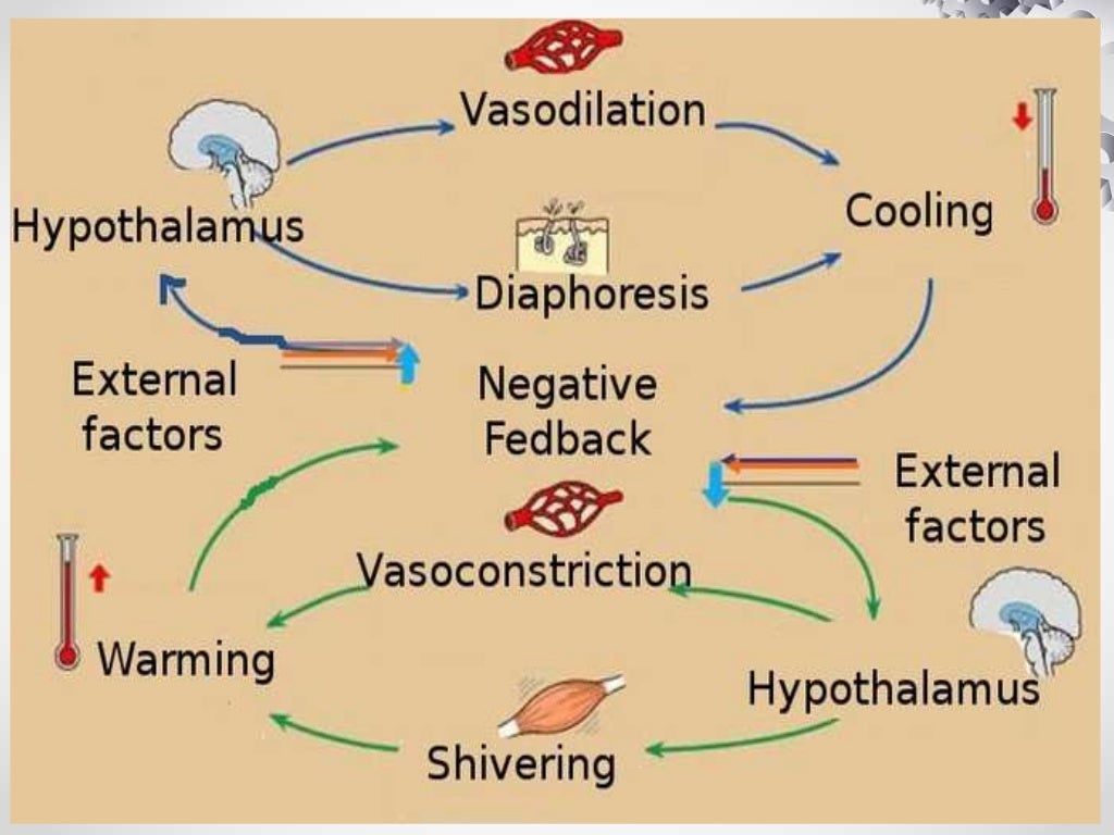 Fever ppt by DR GIRISH JAIN