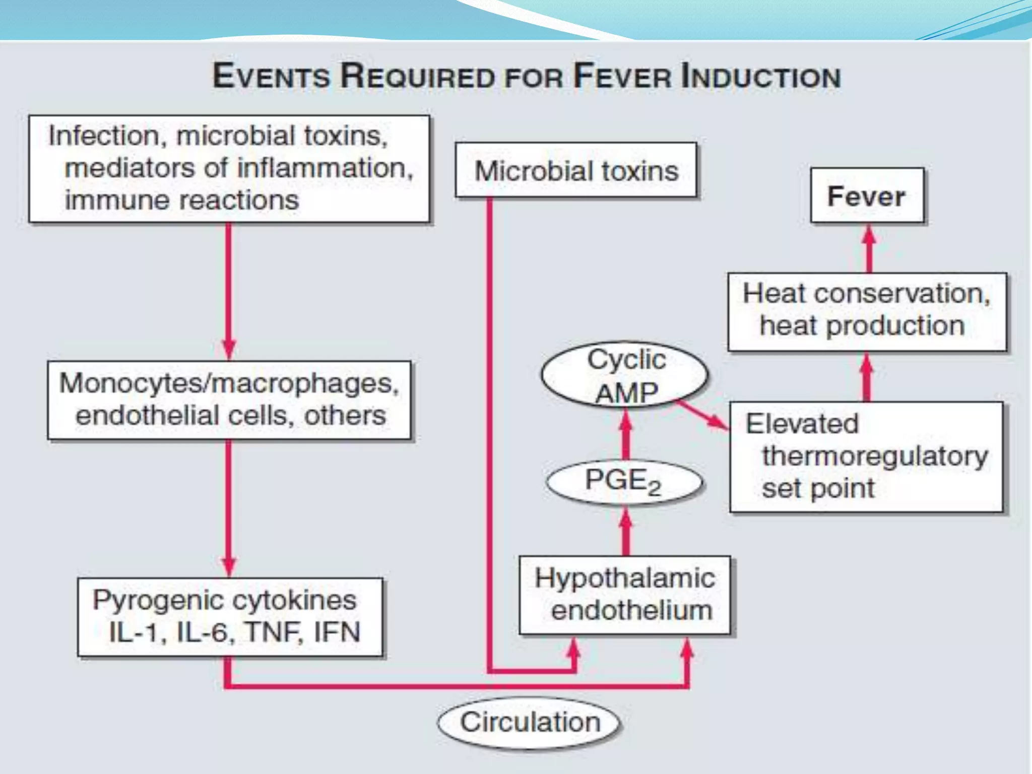 Fever-Pathophysiology and Clinical approach. | PPTX