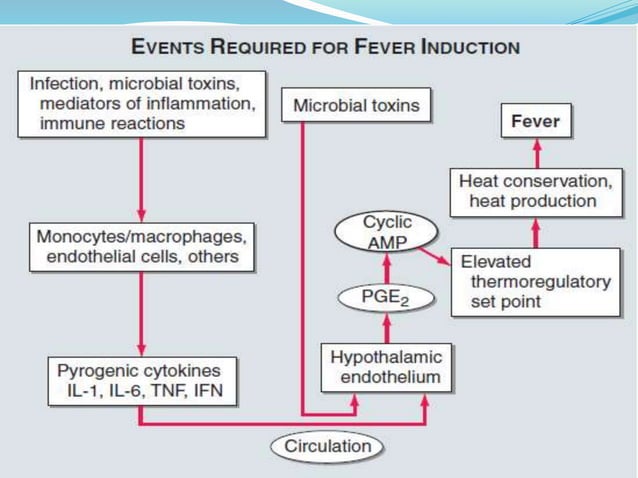 Fever-Pathophysiology and Clinical approach. | PPTX