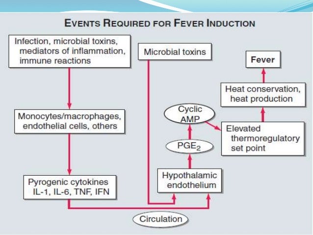 Fever-Pathophysiology and Clinical approach.