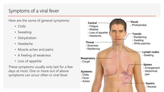 Viral/Bacterial Fever | PPTX