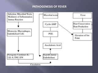 Fever | PPTX