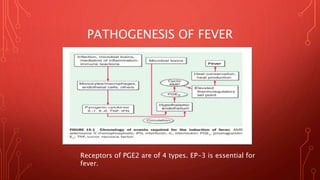 "Fever basics and thermoregulation" for MBBS students. | PPTX