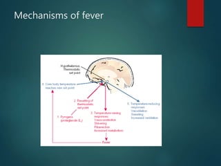 Fever by Dr. Pandian M. | PPT