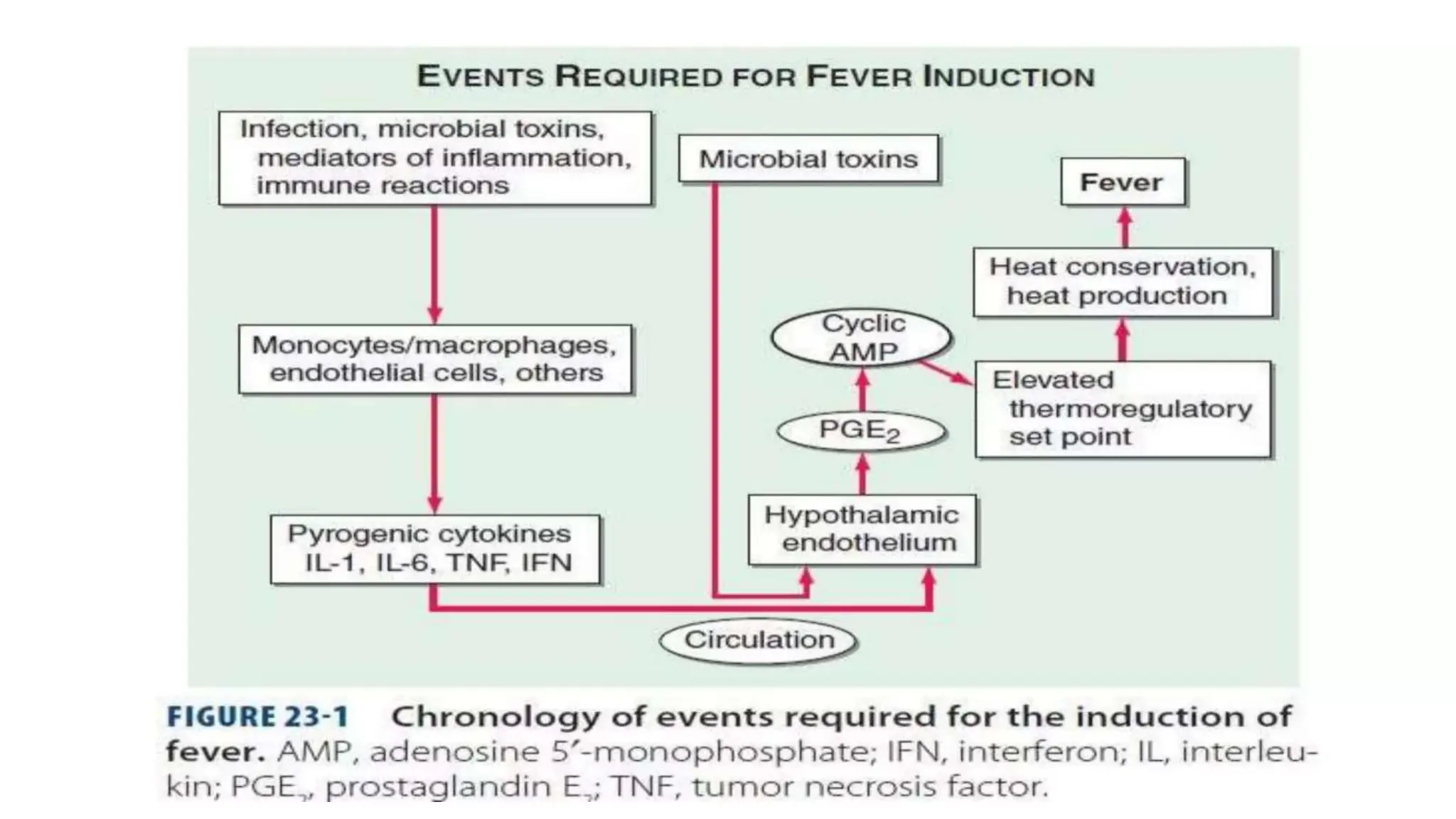 Approach to fever.types of fever.fever in detail | PPTX