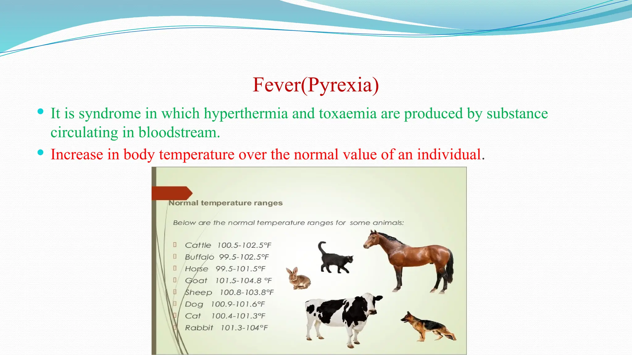 Fever mechanism.veteenary medicine notes | PPTX