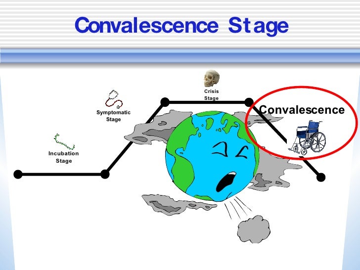 Fever Model of a Revolution 2007