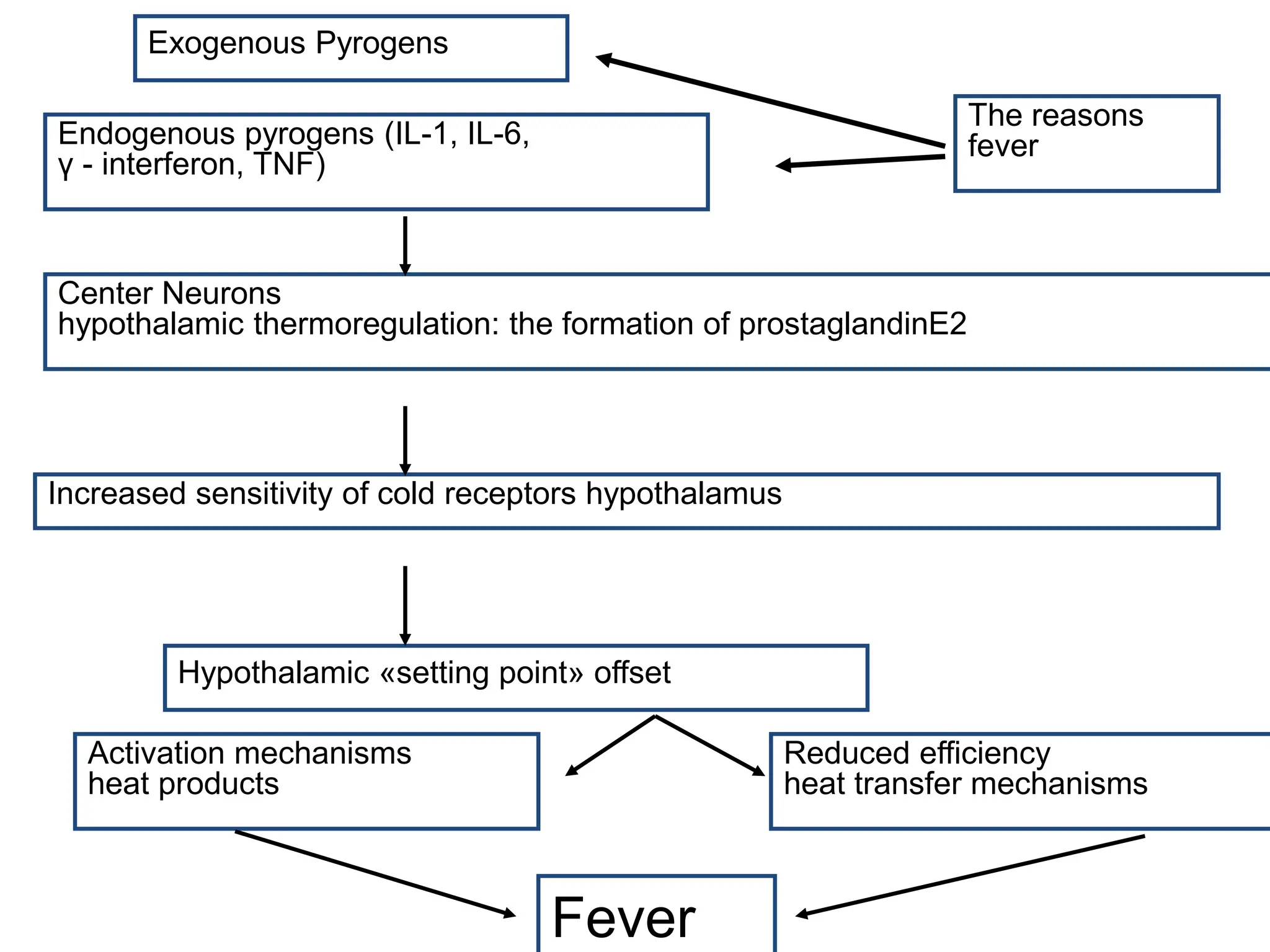 Fever mechanisms and heat transfer. pptx | PPT