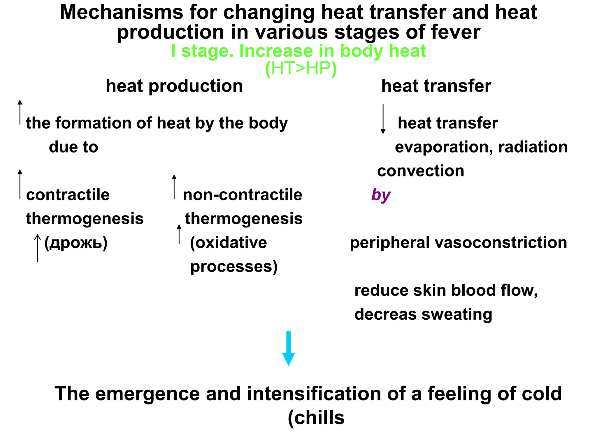 Fever mechanisms and heat transfer. pptx | PPT