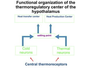 Fever mechanisms and heat transfer. pptx | PPT