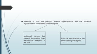 Fever and febrile syndromes by Dr Smit Janrao | PPTX