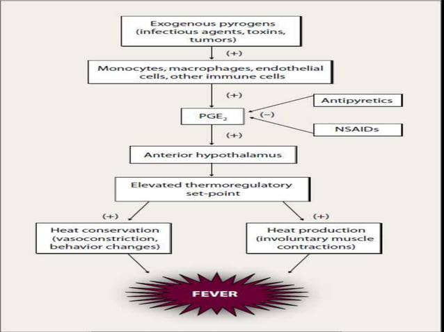 Fever of unknown origin | PPTX | Infectious Diseases | Diseases and ...