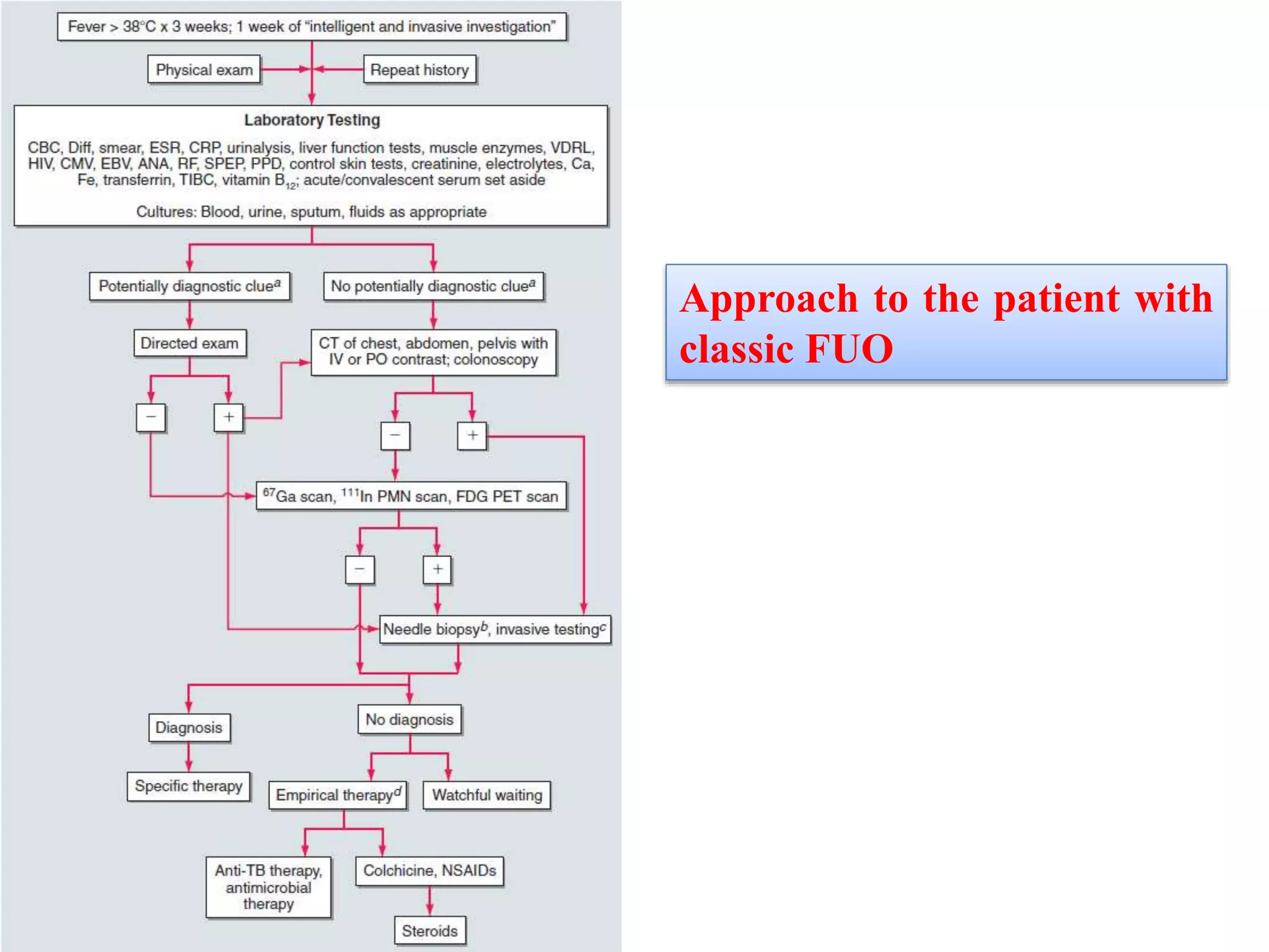Fever of unknown origin | PPTX