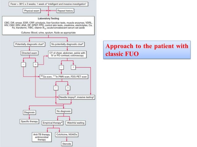 Fever of unknown origin | PPTX | Infectious Diseases | Diseases and ...