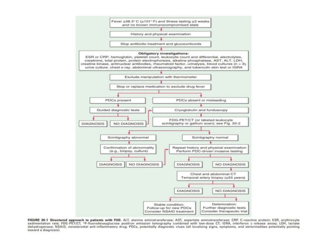 FEVER OF UNKNOWN ORIGIN.pptx
