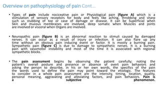 Fever pathophysiology.pptx