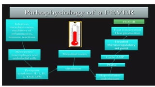FEVER PPT PDF.pdf
