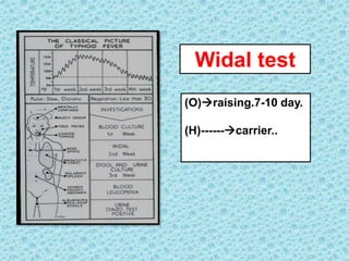 for beginner 2024 new update Fever presentation | PPTX | Infectious ...