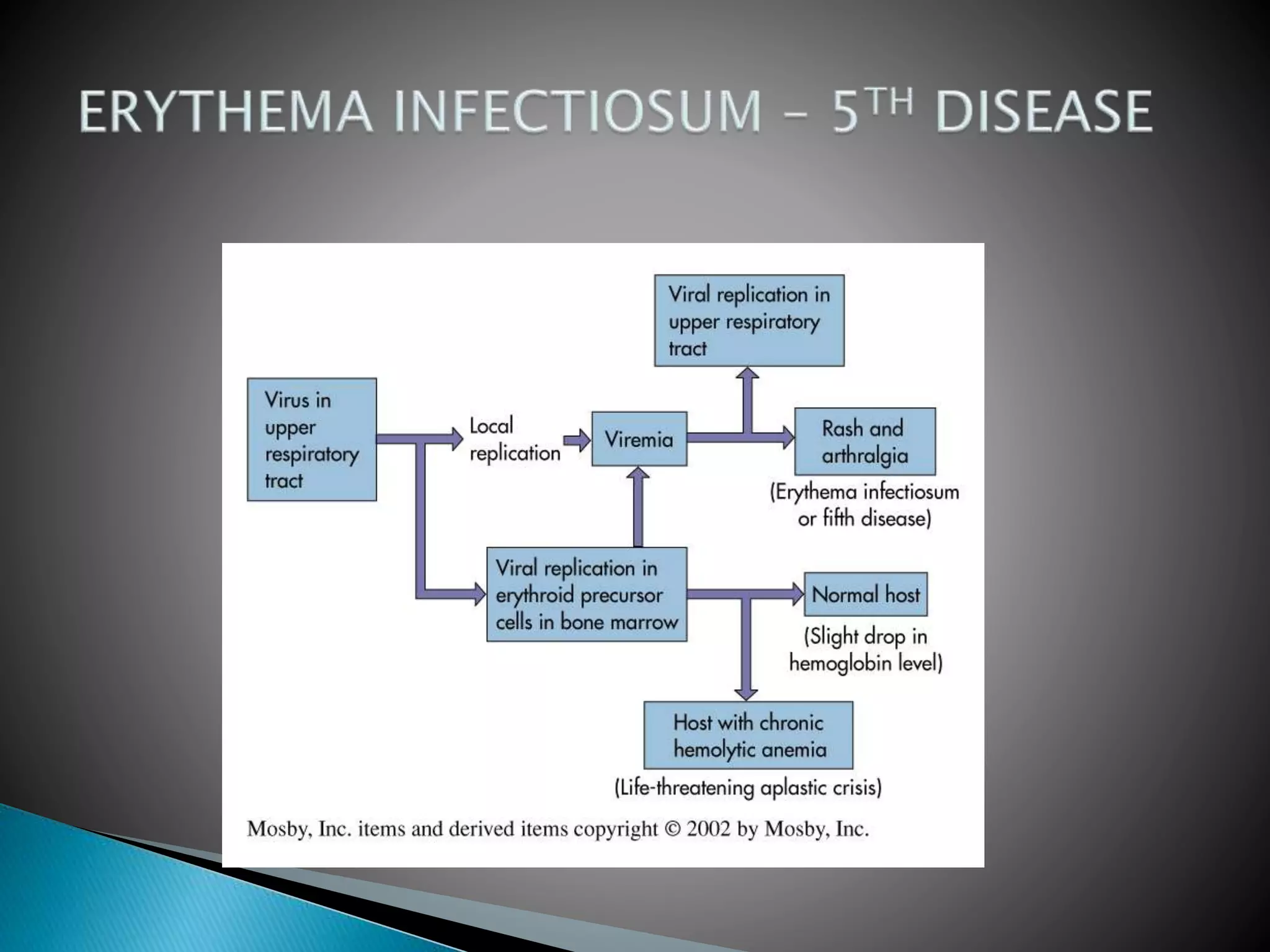 Fever with rashes | PPTX