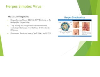 Fever with rashes, decribing various types of fever presenting with ...