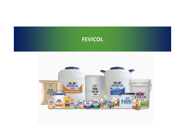 Fevicol Branding | PPTX