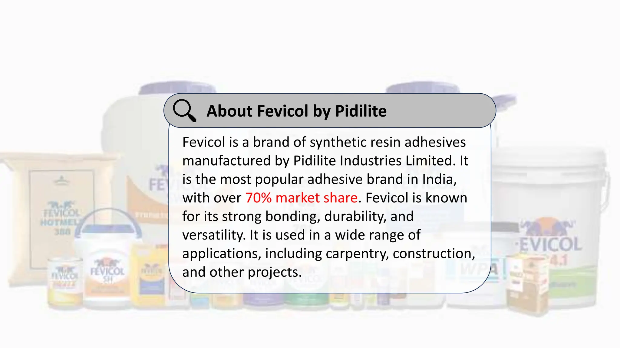 Fevicol Business Case Study by Pidilite .pptx