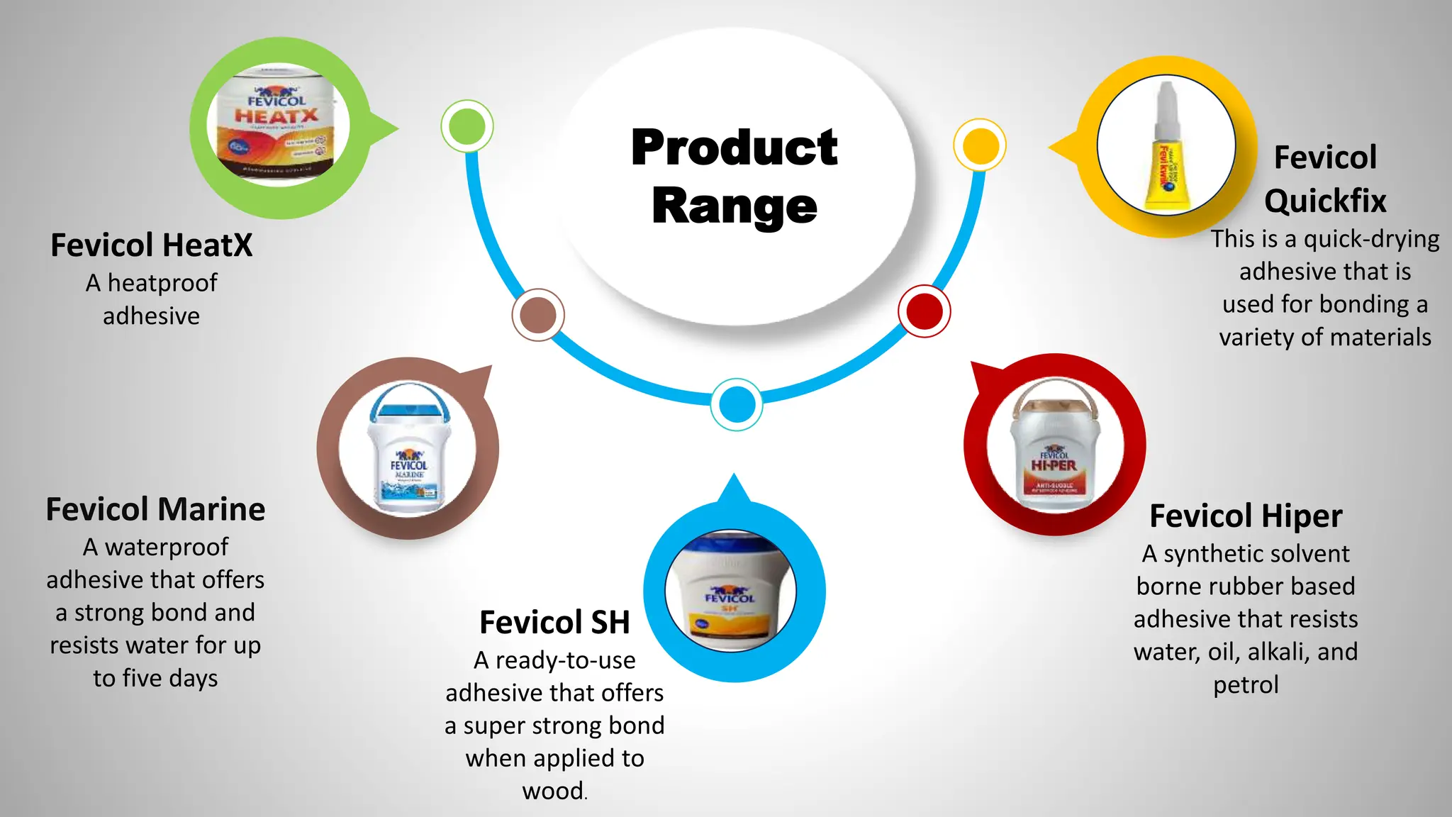 Fevicol Business Case Study by Pidilite .pptx
