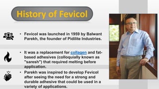Fevicol Business Case Study by Pidilite .pptx