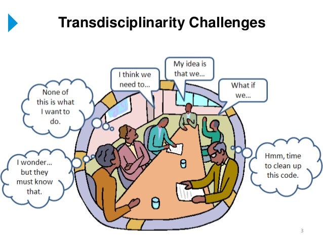 Leading transdisciplinary projects to success: Isabelle Lessard