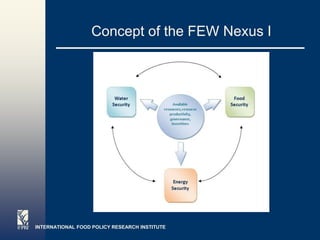 Food-Energy-Water Nexus Introduction | PPTX