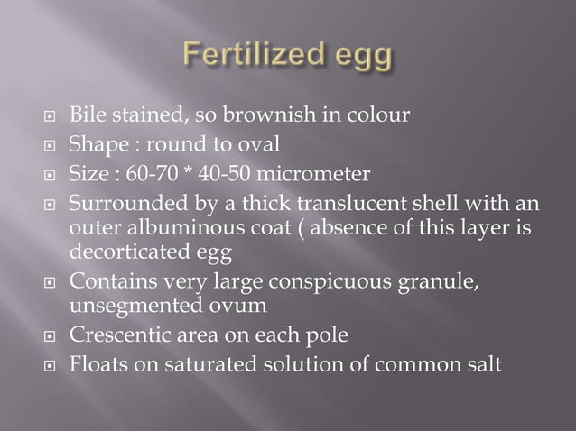 Few parasite eggs | PPSX | Fish and Aquariums | Pets