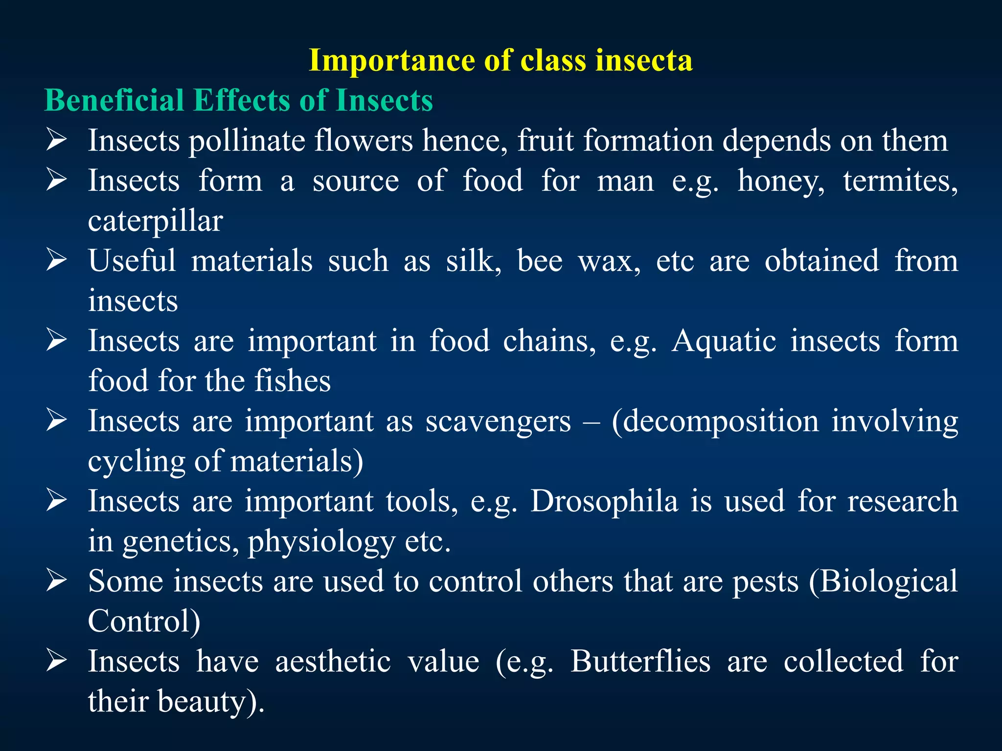 FEY Lec. 3 RKP_Importance of class insecta.ppt | Beekeeping | Hobbies & Interests