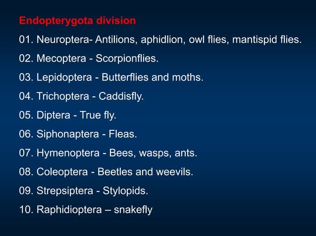 FEY Lec. 3 RKP_Importance of class insecta.ppt