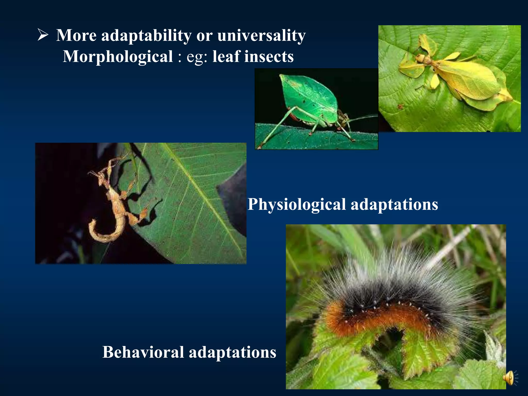 FEY Lec. 4 RKP_ Insect dominance.ppt