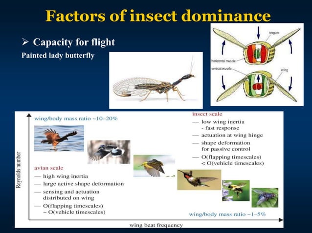 FEY Lec. 4 RKP_ Insect dominance.ppt