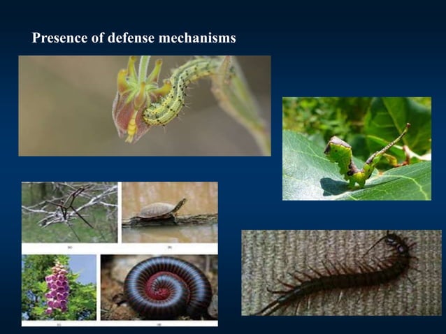 FEY Lec. 4 RKP_ Insect dominance.ppt