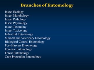 FEY Lec. 5 RKP_Importance of Entomology.ppt
