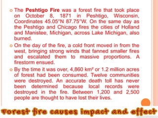 FOREST FIRE | PPTX