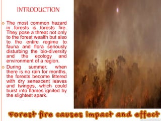 FOREST FIRE | PPTX