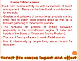 FOREST FIRE | PPTX