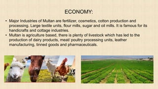 Multan City | PPTX