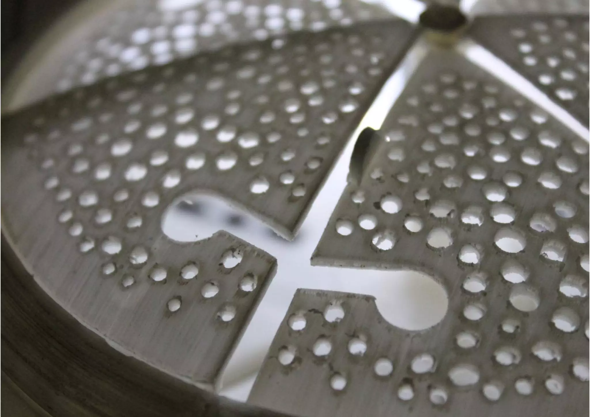 Diatom multi-plug | PPT