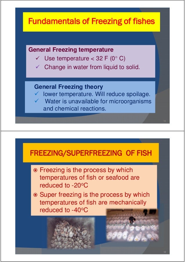 freezing and thawing process